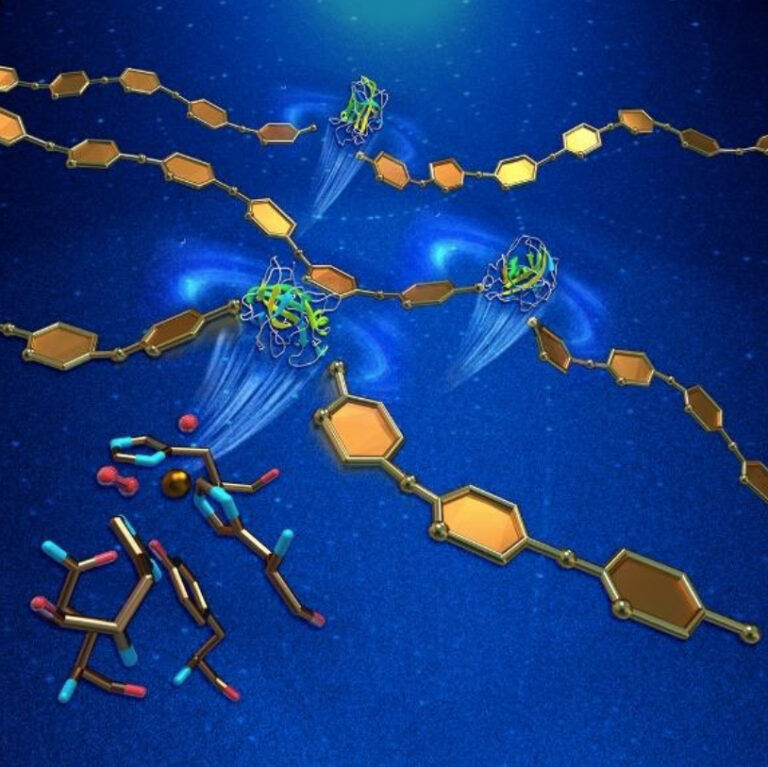 Neutron Macromolecular Crystallography - BER Structural Biology and ...