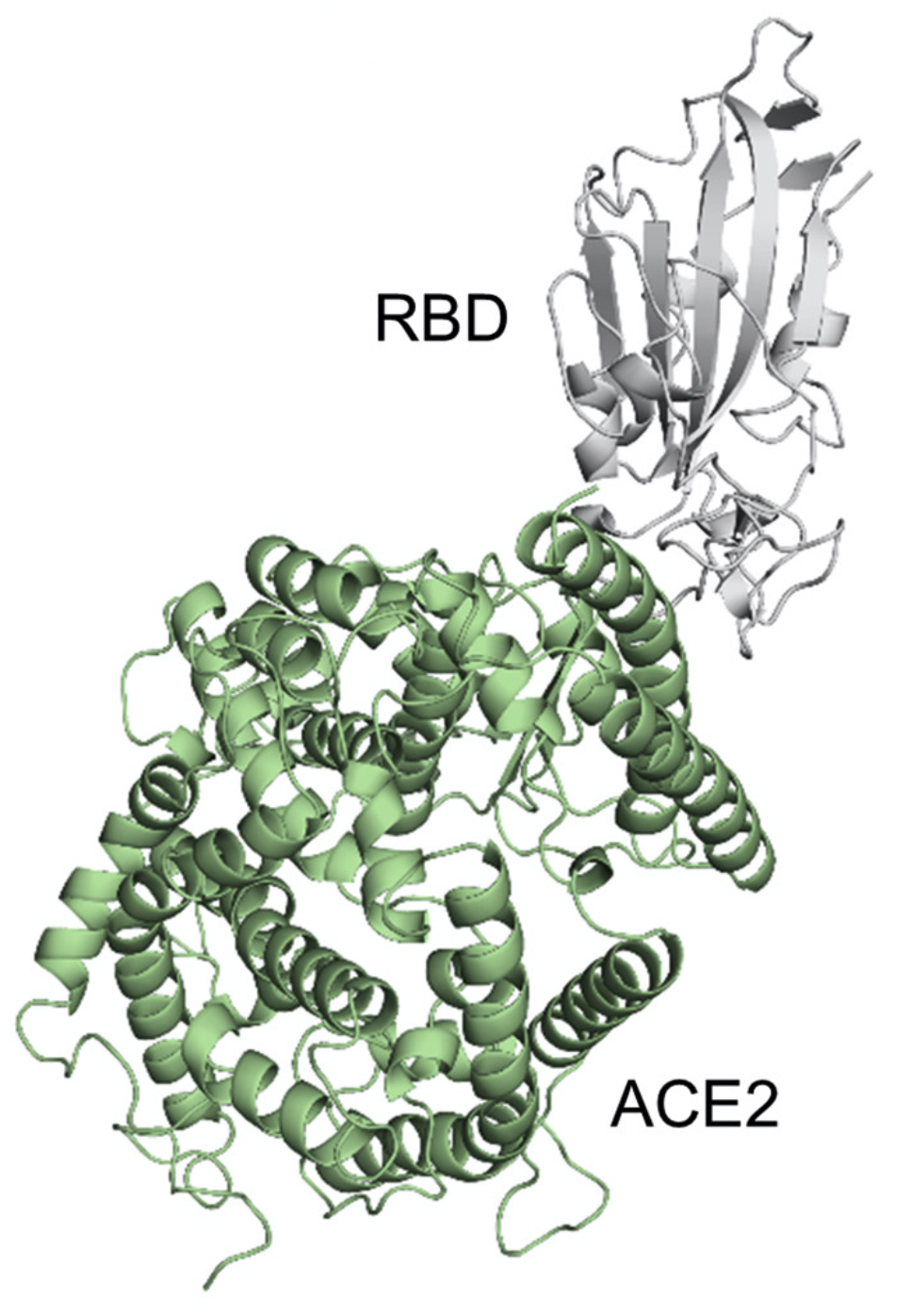 X-Ray Macromolecular Crystallography - BER Structural Biology and ...