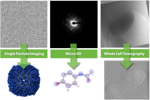 Cryo-TEM at EMSL - BER Structural Biology and Imaging Resources BER ...