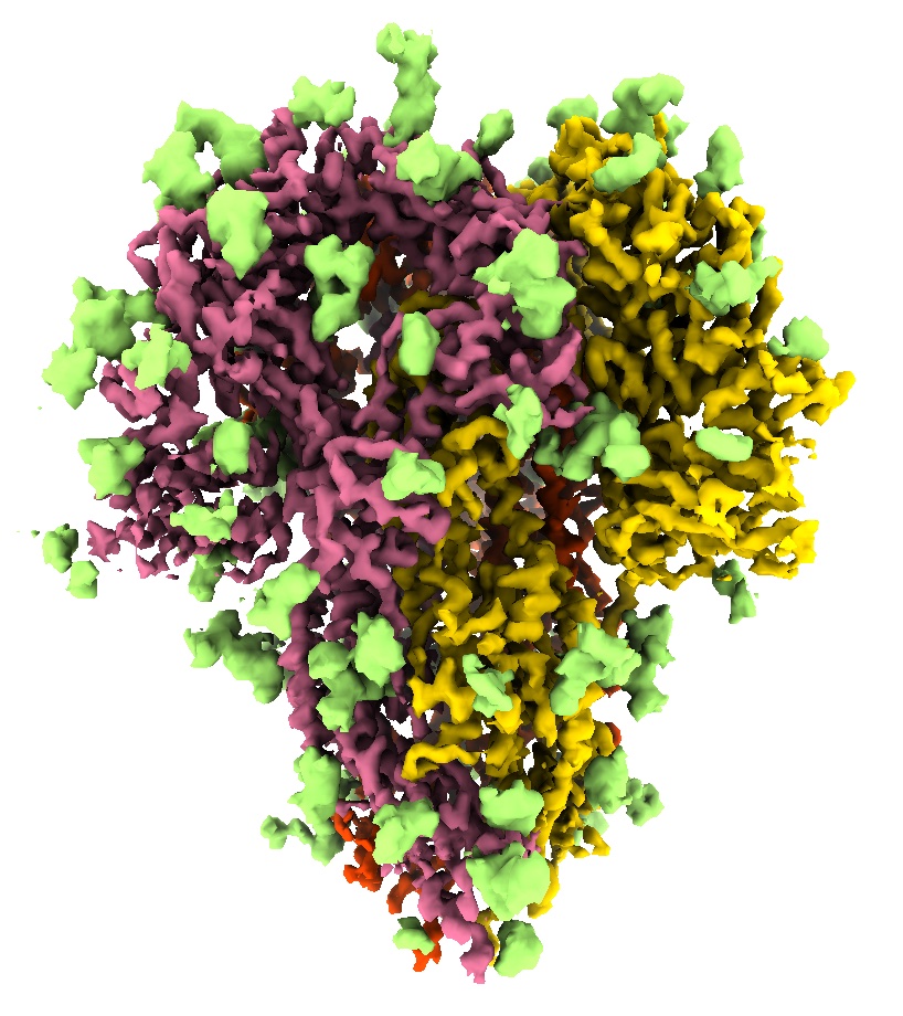 Stanford-SLAC Cryo-EM - BER Structural Biology and Imaging Resources ...