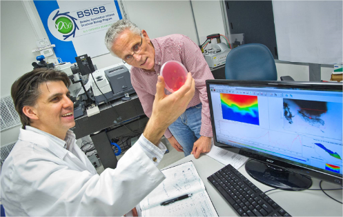 Berkeley Synchrotron Infrared Structural Biology Imaging Program - BER ...